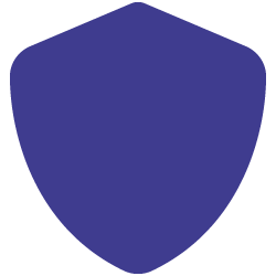 Onebill | Business Fibre 80 & Cloud Voice